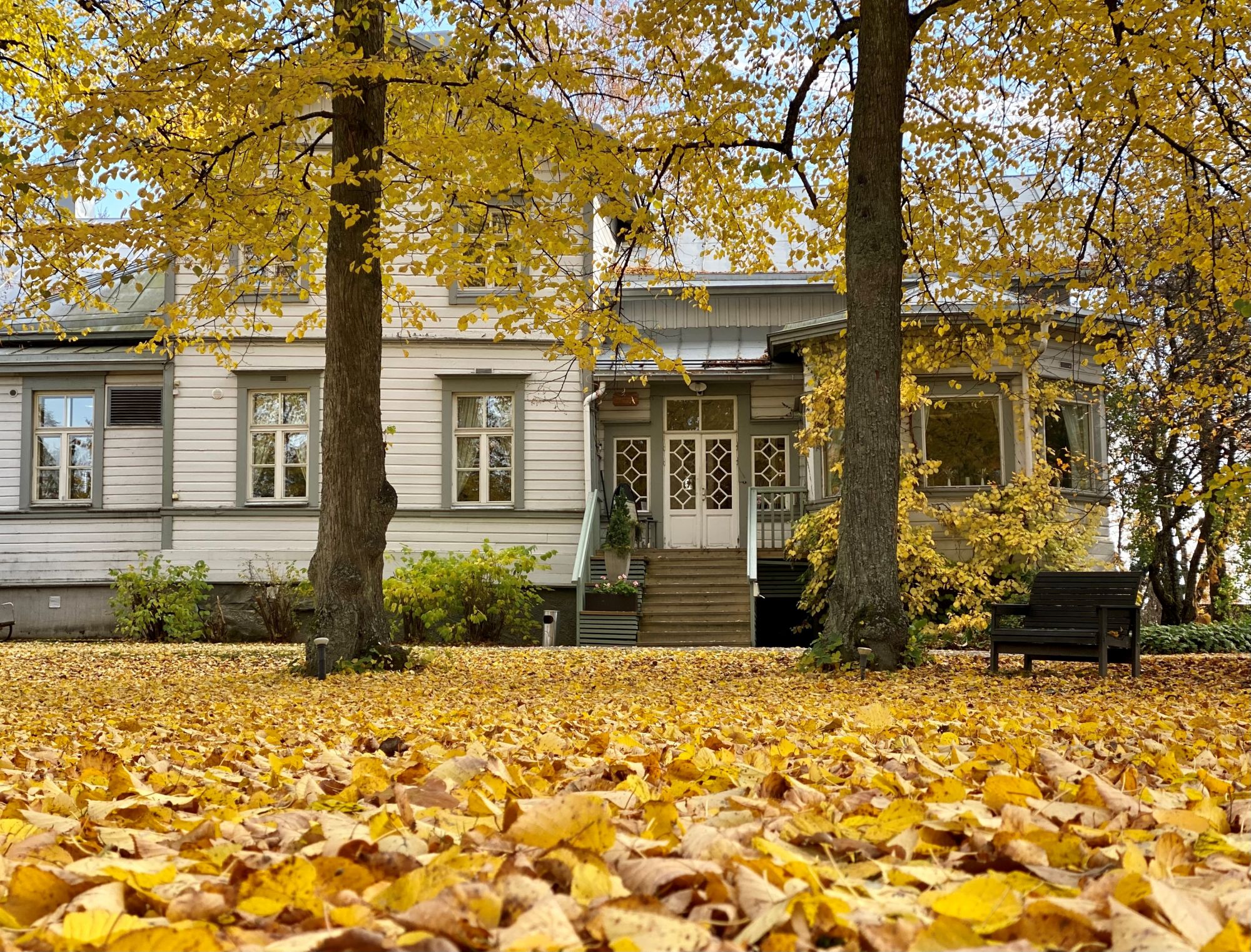 Kulttuurikierros: Krapi - museot.fi