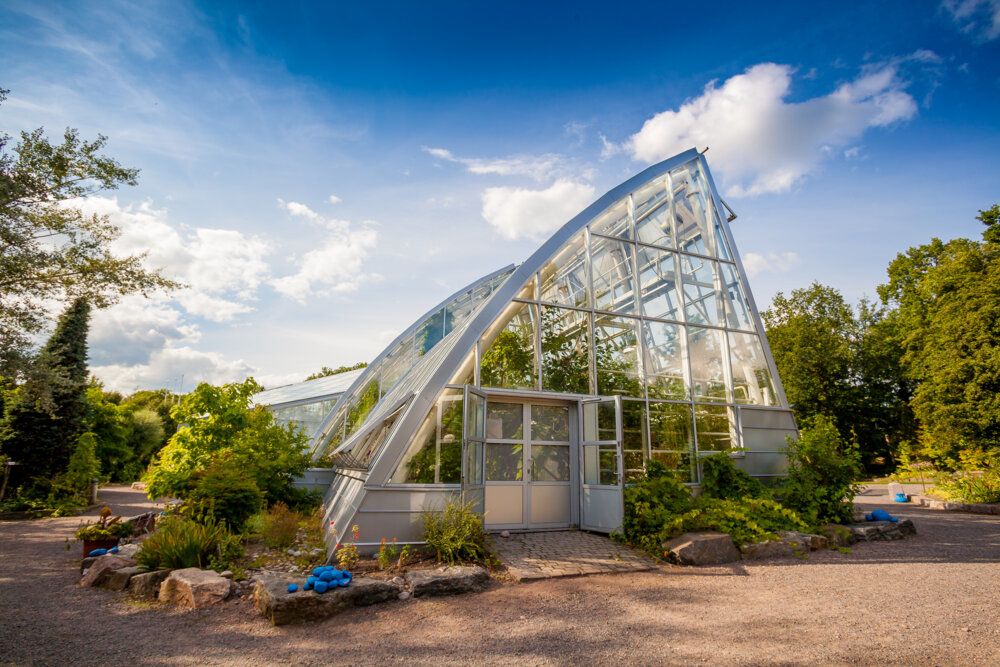 Museokortti-kohde: Turun yliopiston kasvitieteellinen puutarha - Museot.fi